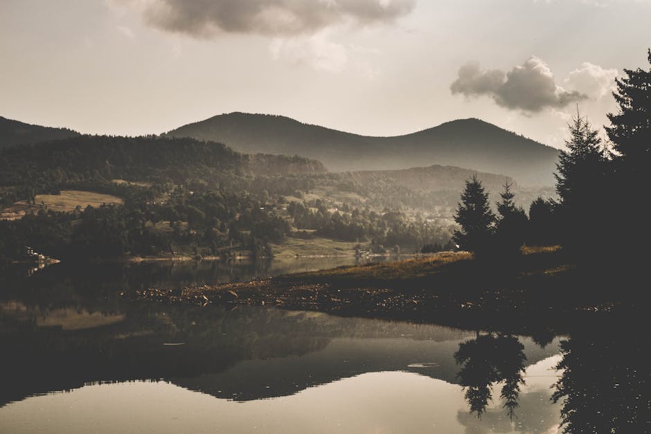 9 Photography Composition Rules That Improve Photos Instantly ...
